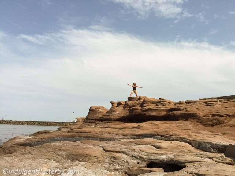 Cap-Pele, NB - The Indulgent Flutterby